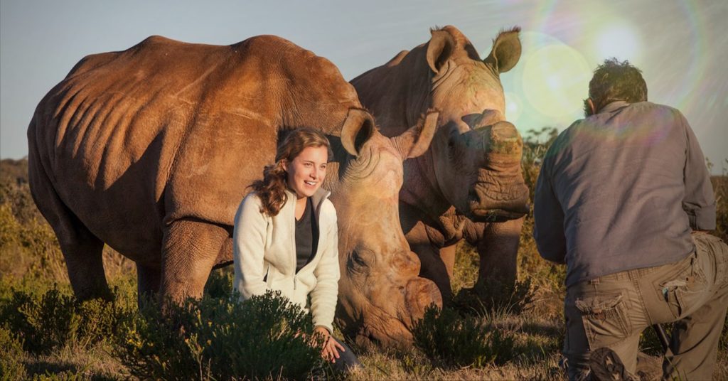 Wildlife Filmmaking - Africa Media